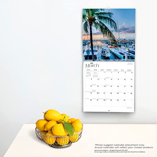 Florida Coast | 2023 12 x 24 Inch Monthly Square Wall Calendar | Foil Stamped Cover | BrownTrout | USA United States of America Southeast State Nature