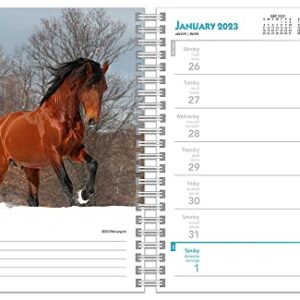 Horse Lovers | 2023 6 x 7.75 Inch Spiral-Bound Wire-O Weekly Engagement Planner Calendar | New Full-Color Image Every Week | BrownTrout | Animals Equestrian