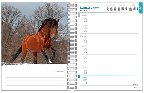 Horse Lovers | 2023 6 x 7.75 Inch Spiral-Bound Wire-O Weekly Engagement Planner Calendar | New Full-Color Image Every Week | BrownTrout | Animals Equestrian