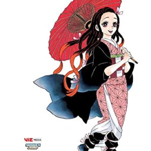 The Art of Demon Slayer: Kimetsu no Yaiba