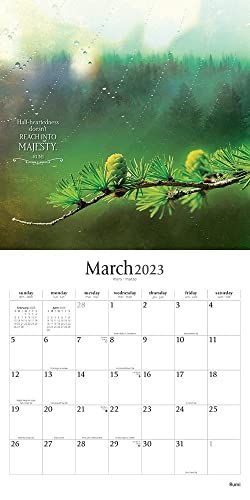 Poetry of Rumi | 2023 12 x 24 Inch Monthly Square Wall Calendar | Brush Dance | Art Poems Poet