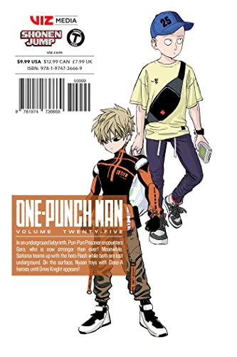 One-Punch Man, Vol. 25 (25)