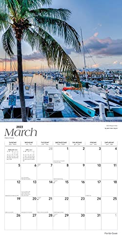 Florida Coast | 2023 12 x 24 Inch Monthly Square Wall Calendar | Foil Stamped Cover | BrownTrout | USA United States of America Southeast State Nature