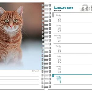 Cat Lovers | 2023 6 x 7.75 Inch Spiral-Bound Wire-O Weekly Engagement Planner Calendar | New Full-Color Image Every Week | BrownTrout | Animals Domestic Kittens Feline