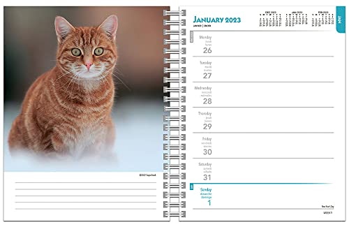 Cat Lovers | 2023 6 x 7.75 Inch Spiral-Bound Wire-O Weekly Engagement Planner Calendar | New Full-Color Image Every Week | BrownTrout | Animals Domestic Kittens Feline