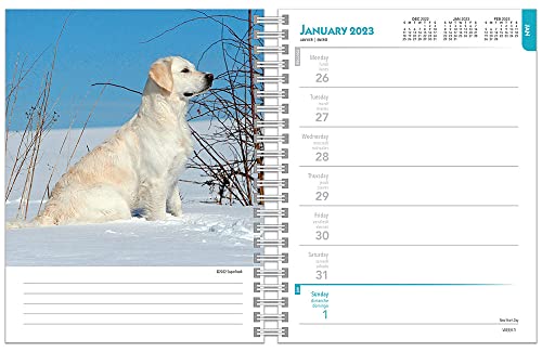 Golden Retrievers | 2023 6 x 7.75 Inch Spiral-Bound Wire-O Weekly Engagement Planner Calendar | New Full-Color Image Every Week | BrownTrout | Animals Dog Breeds Pets