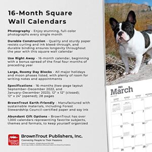 French Bulldogs | 2023 12 x 24 Inch Monthly Square Wall Calendar | BrownTrout | Animals Dog Breeds DogDays