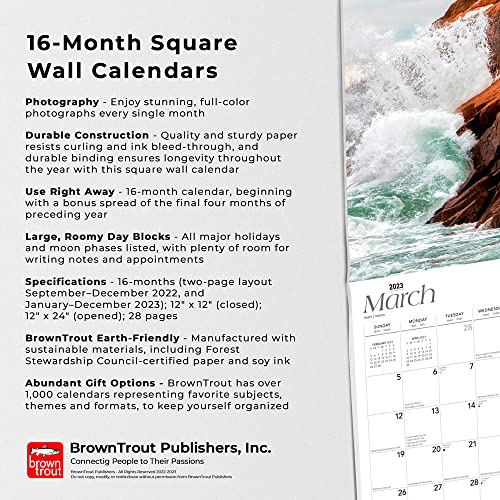 Maine Coast | 2023 12 x 24 Inch Monthly Square Wall Calendar | BrownTrout | USA United States of America Northeast State Ocean Sea Nature