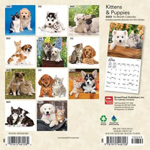 Kittens & Puppies | 2023 7 x 14 Inch Monthly Mini Wall Calendar | BrownTrout | Animals Cute Dogs Cats