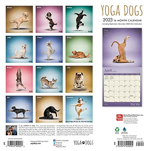 Yoga Dogs OFFICIAL | 2023 12 x 24 Inch Monthly Square Wall Calendar | BrownTrout | Animals Humor Pets