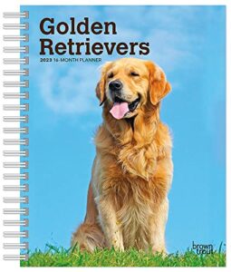 golden retrievers | 2023 6 x 7.75 inch spiral-bound wire-o weekly engagement planner calendar | new full-color image every week | browntrout | animals dog breeds pets