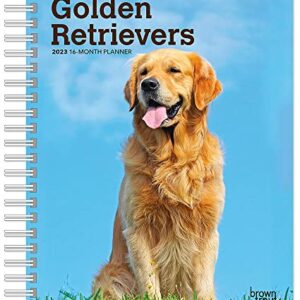 Golden Retrievers | 2023 6 x 7.75 Inch Spiral-Bound Wire-O Weekly Engagement Planner Calendar | New Full-Color Image Every Week | BrownTrout | Animals Dog Breeds Pets