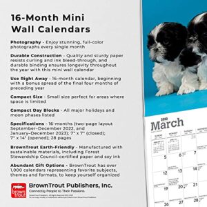 Shih Tzu Puppies | 2023 7 x 14 Inch Monthly Mini Wall Calendar | BrownTrout | Animal Small Dog Breed Puppy DogDays