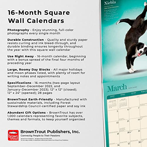 Yoga Dogs OFFICIAL | 2023 12 x 24 Inch Monthly Square Wall Calendar | BrownTrout | Animals Humor Pets