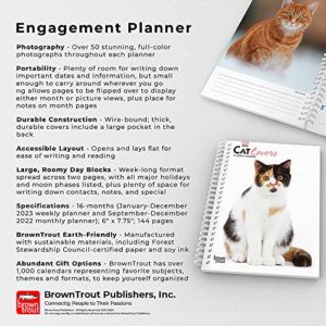 Cat Lovers | 2023 6 x 7.75 Inch Spiral-Bound Wire-O Weekly Engagement Planner Calendar | New Full-Color Image Every Week | BrownTrout | Animals Domestic Kittens Feline