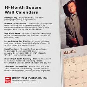 John Wayne in the Movies OFFICIAL | 2023 12 x 24 Inch Monthly Square Wall Calendar | Foil Stamped Cover | BrownTrout | USA American Actor Celebrity Duke