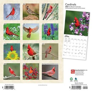 Cardinals | 2023 12 x 24 Inch Monthly Square Wall Calendar | BrownTrout | Animals Wildlife Red Birds