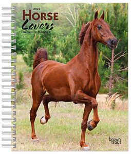 horse lovers | 2023 6 x 7.75 inch spiral-bound wire-o weekly engagement planner calendar | new full-color image every week | browntrout | animals equestrian