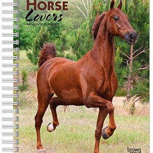 Horse Lovers | 2023 6 x 7.75 Inch Spiral-Bound Wire-O Weekly Engagement Planner Calendar | New Full-Color Image Every Week | BrownTrout | Animals Equestrian