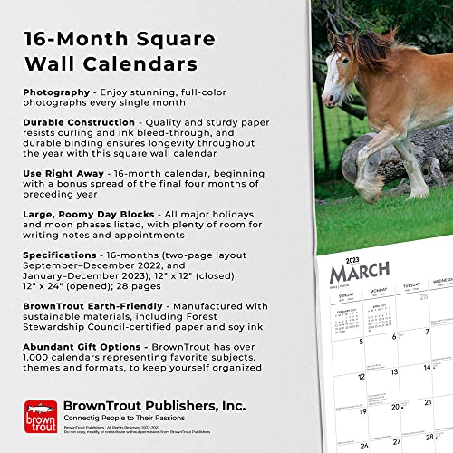 Clydesdales | 2023 12 x 24 Inch Monthly Square Wall Calendar | BrownTrout | Animals Horses