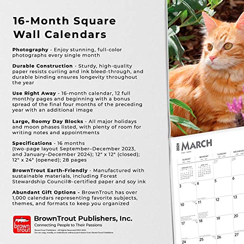 Ginger Cats | 2024 12 x 24 Inch Monthly Square Wall Calendar | BrownTrout | Animals Kittens Feline Pets