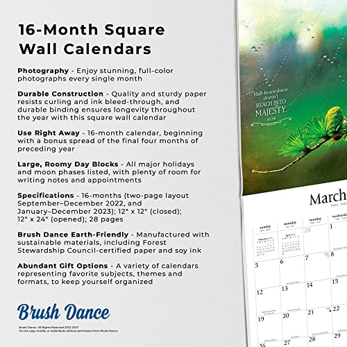 Poetry of Rumi | 2023 12 x 24 Inch Monthly Square Wall Calendar | Brush Dance | Art Poems Poet