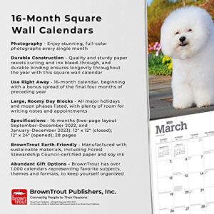 Bichon Frise | 2023 12 x 24 Inch Monthly Square Wall Calendar | Foil Stamped Cover | BrownTrout | Animals Dog Breeds DogDays