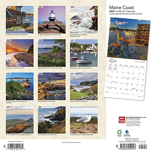 Maine Coast | 2023 12 x 24 Inch Monthly Square Wall Calendar | BrownTrout | USA United States of America Northeast State Ocean Sea Nature