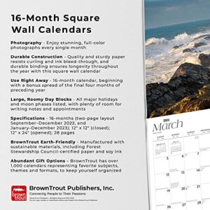 Oregon Coast | 2023 12 x 24 Inch Monthly Square Wall Calendar | Foil Stamped Cover | BrownTrout | USA United States of America Pacific West State Ocean Sea Nature