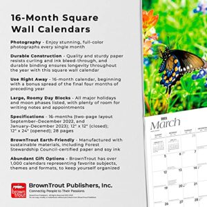 Texas Nature | 2023 12 x 24 Inch Monthly Square Wall Calendar | Foil Stamped Cover | BrownTrout | USA United States of America Southwest State Wilderness