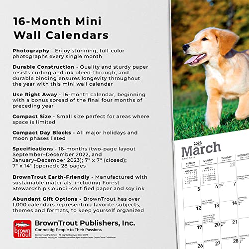 Golden Retriever Puppies | 2023 7 x 14 Inch Monthly Mini Wall Calendar | BrownTrout | Animals Dog Breeds Puppy DogDays