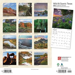 Texas Wild & Scenic | 2023 12 x 24 Inch Monthly Square Wall Calendar | Foil Stamped Cover | BrownTrout | USA United States of America Southwest State Nature