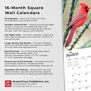 Cardinals | 2023 12 x 24 Inch Monthly Square Wall Calendar | BrownTrout | Animals Wildlife Red Birds