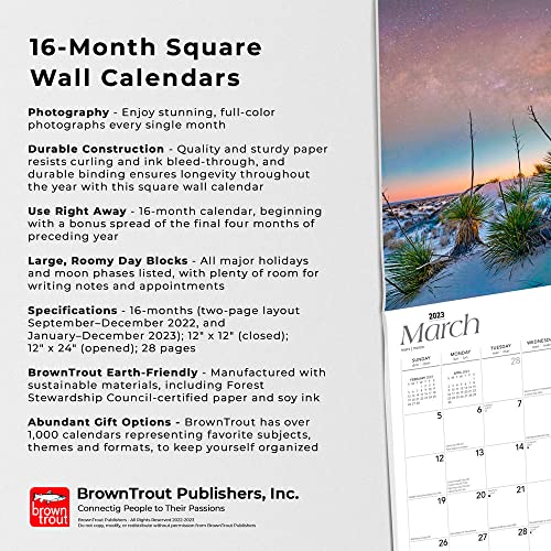 Texas Wild & Scenic | 2023 12 x 24 Inch Monthly Square Wall Calendar | Foil Stamped Cover | BrownTrout | USA United States of America Southwest State Nature