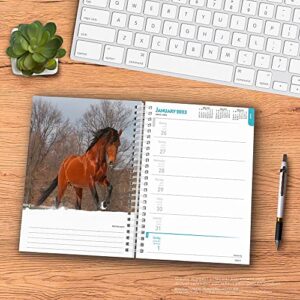 Horse Lovers | 2023 6 x 7.75 Inch Spiral-Bound Wire-O Weekly Engagement Planner Calendar | New Full-Color Image Every Week | BrownTrout | Animals Equestrian