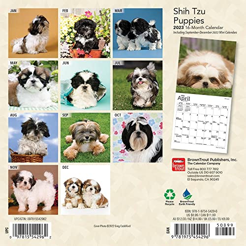 Shih Tzu Puppies | 2023 7 x 14 Inch Monthly Mini Wall Calendar | BrownTrout | Animal Small Dog Breed Puppy DogDays