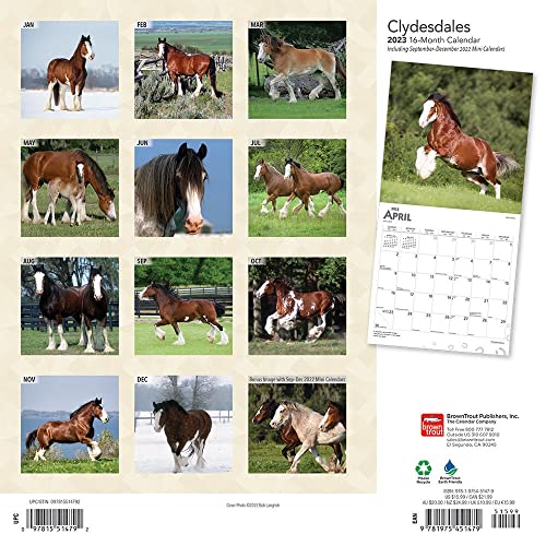 Clydesdales | 2023 12 x 24 Inch Monthly Square Wall Calendar | BrownTrout | Animals Horses