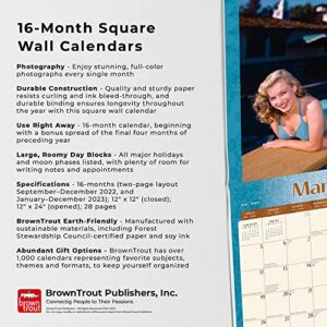 Marilyn Monroe OFFICIAL | 2023 12 x 24 Inch Monthly Square Wall Calendar | Foil Stamped Cover | BrownTrout | USA American Actress Celebrity