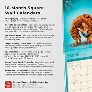 Yoga Cats OFFICIAL | 2023 12 x 24 Inch Monthly Square Wall Calendar | BrownTrout | Animals Humor Pets