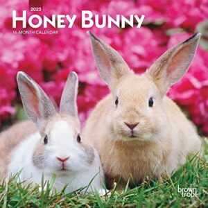 honey bunny | 2023 7 x 14 inch monthly mini wall calendar | browntrout | domestic small cute animals