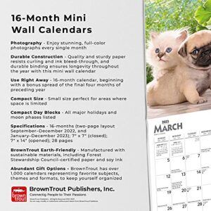 Kittens & Puppies | 2023 7 x 14 Inch Monthly Mini Wall Calendar | BrownTrout | Animals Cute Dogs Cats