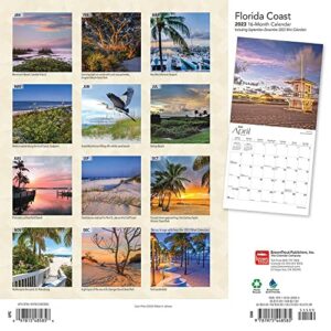 Florida Coast | 2023 12 x 24 Inch Monthly Square Wall Calendar | Foil Stamped Cover | BrownTrout | USA United States of America Southeast State Nature