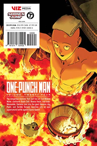 One-Punch Man, Vol. 24 (24)