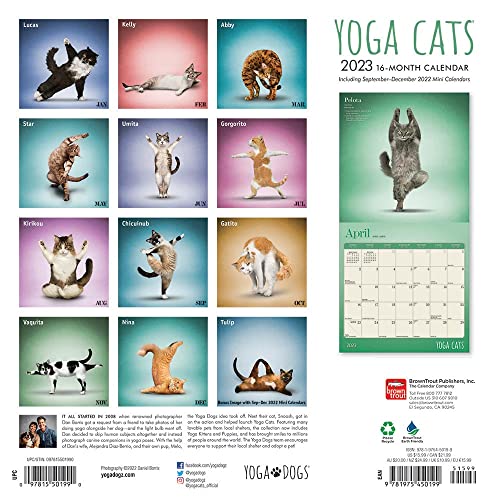 Yoga Cats OFFICIAL | 2023 12 x 24 Inch Monthly Square Wall Calendar | BrownTrout | Animals Humor Pets