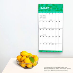 Large Print | 2023 12 x 24 Inch Monthly Square Wall Calendar | BrownTrout | Easy to See Large Font