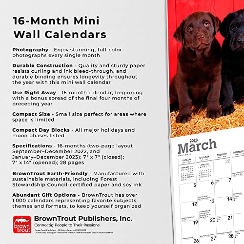 Lab Puppies | 2023 7 x 14 Inch Monthly Mini Wall Calendar | BrownTrout | Animals Dog Breeds Puppy DogDays