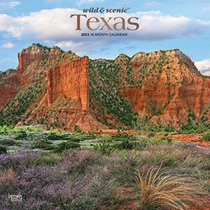 texas wild & scenic | 2023 12 x 24 inch monthly square wall calendar | foil stamped cover | browntrout | usa united states of america southwest state nature