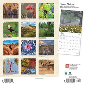 Texas Nature | 2023 12 x 24 Inch Monthly Square Wall Calendar | Foil Stamped Cover | BrownTrout | USA United States of America Southwest State Wilderness