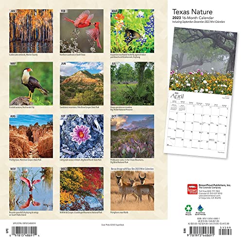 Texas Nature | 2023 12 x 24 Inch Monthly Square Wall Calendar | Foil Stamped Cover | BrownTrout | USA United States of America Southwest State Wilderness