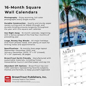 Florida Coast | 2023 12 x 24 Inch Monthly Square Wall Calendar | Foil Stamped Cover | BrownTrout | USA United States of America Southeast State Nature